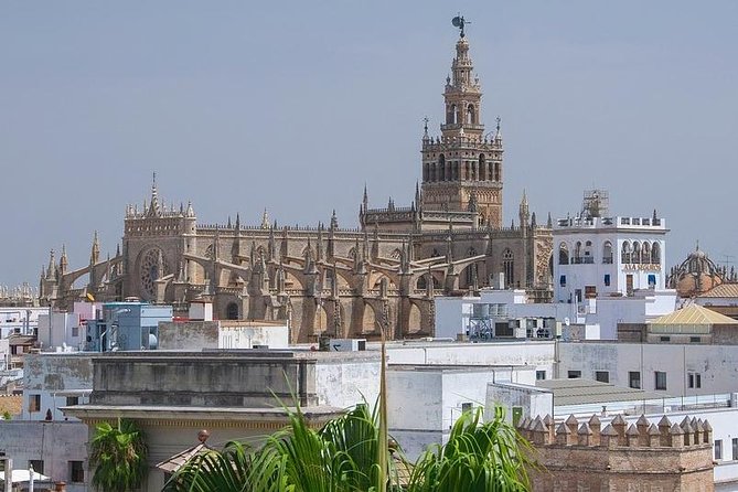 Private visit Cathedral and Royal Alcazares of Seville - What to Expect From This Tour in Seville