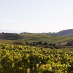 Private visit with wine tasting in Alijó Douro - Why This Tour is a Great Choice