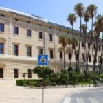 Private walking tour - Authentic Experiences and Practical Tips