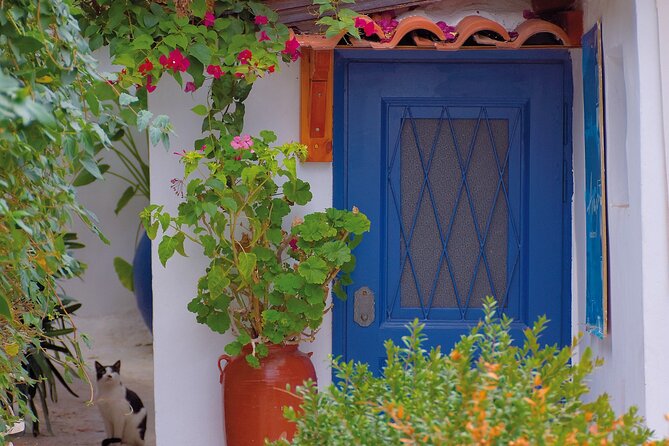 Private Walking Tour: Ancient Agora, Plaka and Monastiraki monuments - The Practicality of a Private Guided Tour in Athens