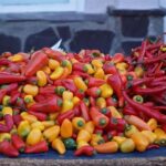 Private Walking Tour- Bites of History and Gastronomy - A Walk through Historical Landmarks