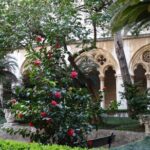 Private Walking Tour of Dubrovnik and its Ancient Walls - Exploring Dubrovnik’s Old Town and Its Walls