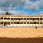 Private Walking Tour of Ronda with official tour guide - What Makes this Tour Stand Out?