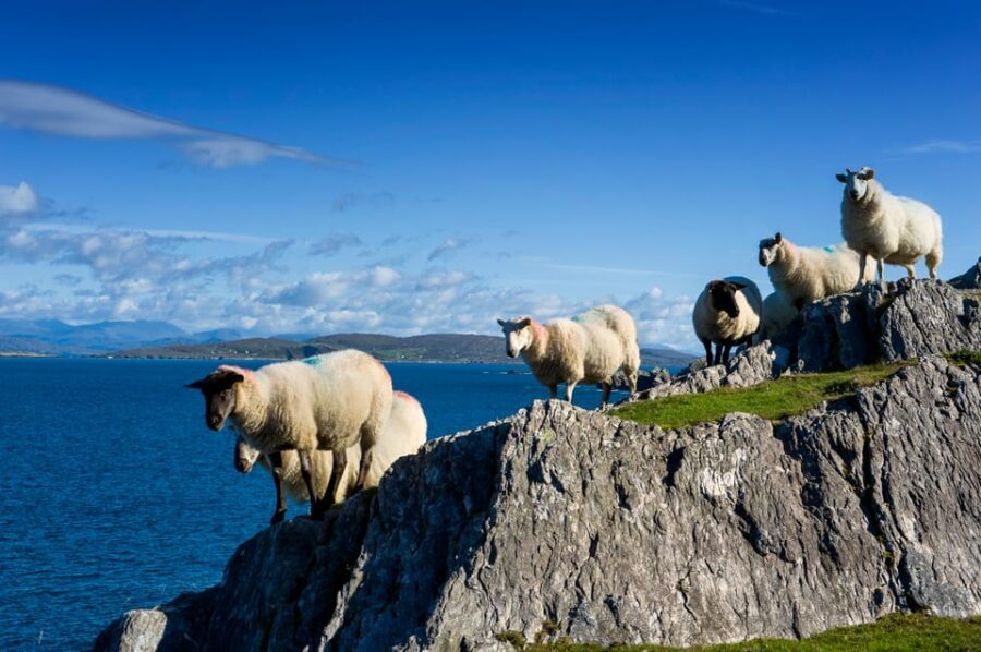 Private Wild Atlantic Day Tour from Cork - What’s on the Itinerary? A Closer Look