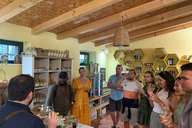 Private Wine and Gin Tour Around the Island of Korcula - Why This Tour Offers Great Value
