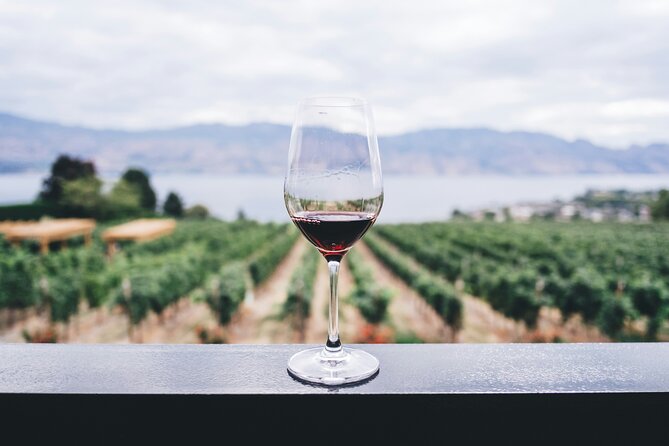 Private Wine Cellar Tour Near Rome - Discover the Hidden Gems of Italian Wine with a Private Cellar Tour Near Rome