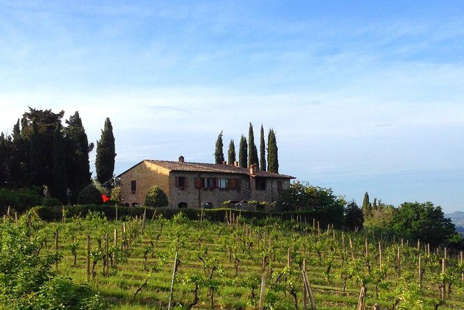 Private Wine & Evo oil tasting with Saffron Meal - Authenticity and Reviews: What Visitors Say