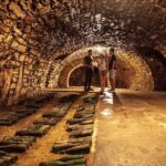 Private wine, food & heritage tour from Prague to Bohemia - What Really Sets This Tour Apart?