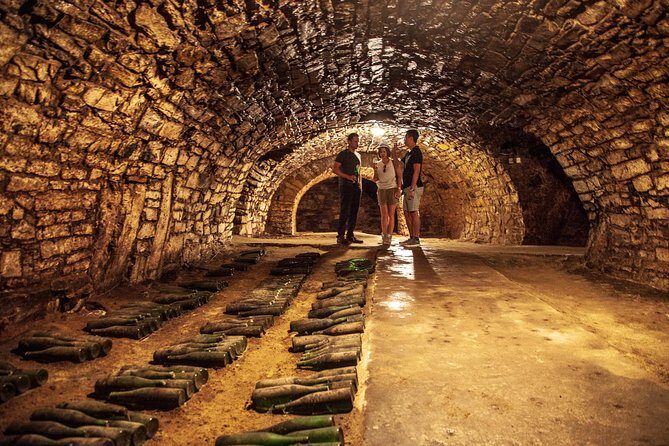 Private wine, food & heritage tour from Prague to Bohemia - What Really Sets This Tour Apart?