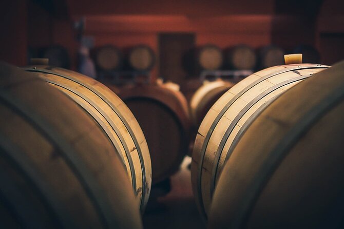 Private Wine & Food Pairing at Silva Winery (10 labels) - An In-Depth Look at the Silva Winery Tour