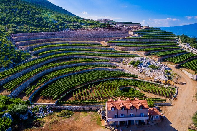 Private Wine Tasting Activity at Lipovac Winery - Key Points
