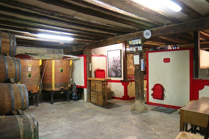 Private Wine Tasting in San Vicente de la Sonsierra - Scenic Town and Castle Tour
