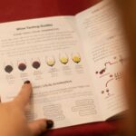 Private Wine Tasting (local) with Artichoke in Rome - Final Thoughts