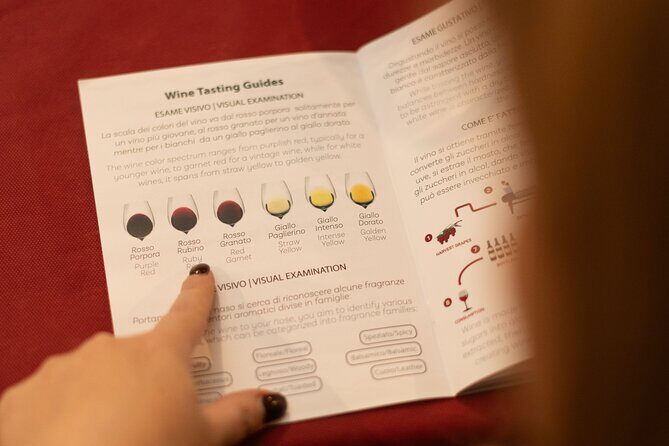Private Wine Tasting (local) with Artichoke in Rome - Final Thoughts