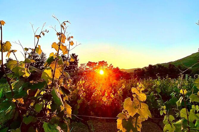Private Wine Tasting Under The Stars With Sunset Panorama - What Travelers Love About This Tour