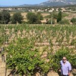 Private wine tour around Ile rousse & Calvi with transport - Exploring the Itinerary in Detail