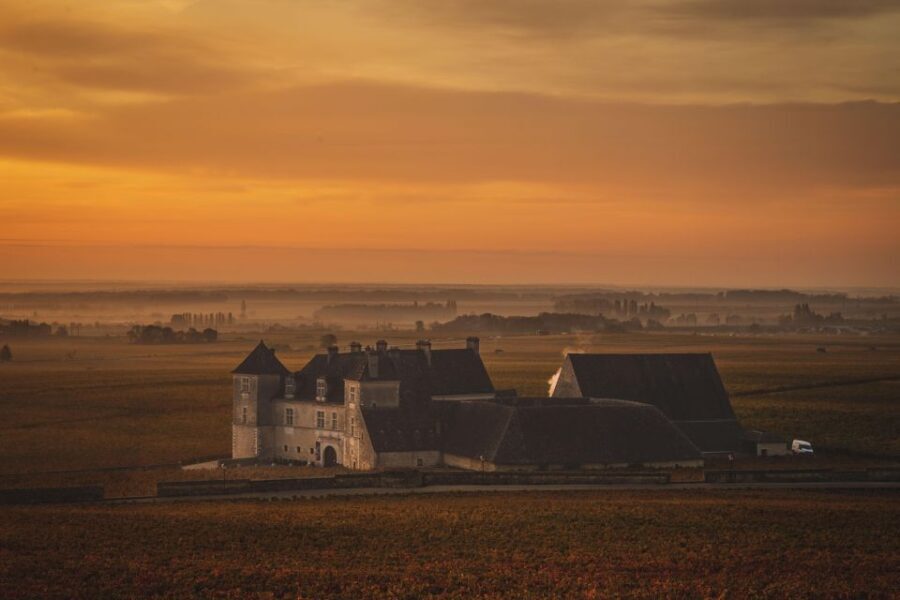 Private Wine Tour in Côte de Nuits and Côte de Beaune - A Deep Dive into the Experience