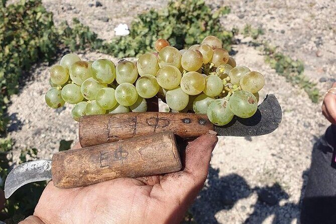 Private Wine Tour in Santorini - Exploring the Itinerary in Detail