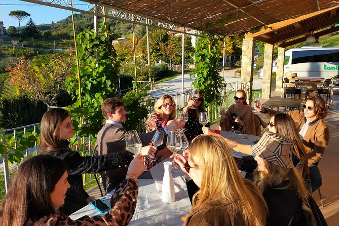 Private wine tour on the magical hills of Lucca (2 wineries) - Key Points