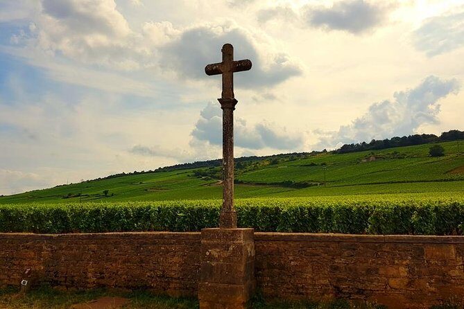 Private Wine Tour to Burgundy Region from Paris - An In-Depth Look at the Burgundy Private Day Trip