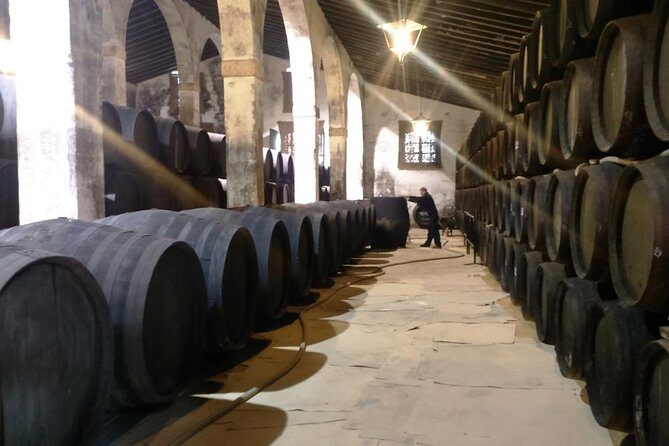 Private wine tour to Jerez de la Frontera - Who Should Book This Tour?