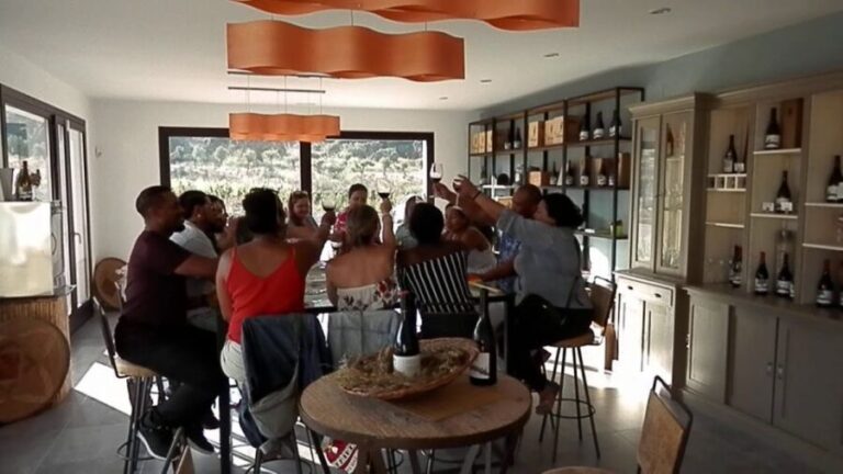 Private Winery Tour and Visit to Ronda - What Makes This Tour Stand Out?