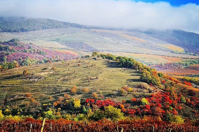 Private winetasting and sightseeing tour to Eger, home to Bull's Blood wine! - What Past Travelers Say