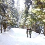 Private Winter Day Trip to the Rila Mountain - Who Will Love This Tour?