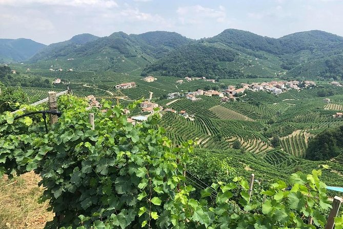 Prosecco and Cheese Tasting. From Venice. Full day - A sparkling day exploring Italy’s Prosecco Hills from Venice