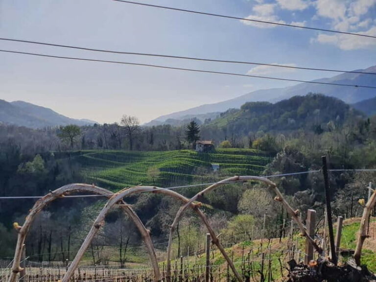 Prosecco Hills Conegliano Valdobbiadene Wine Tour - Itinerary Breakdown: What to Expect