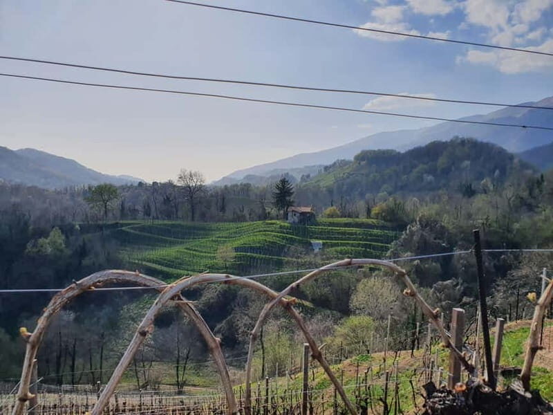 Prosecco Hills Conegliano Valdobbiadene Wine Tour - Itinerary Breakdown: What to Expect