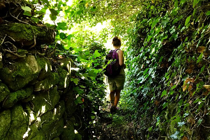 Prosecco Origins Wine Experience - An In-Depth Look at the Prosecco Origins Tour
