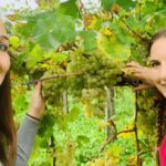 Prosecco Tasting in Countryside Winery - What Makes This Prosecco Tour Stand Out