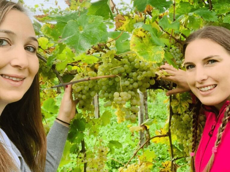 Prosecco Tasting in Countryside Winery - What Makes This Prosecco Tour Stand Out