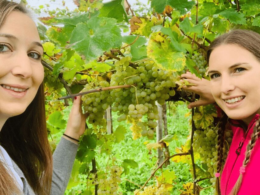 Prosecco Tasting in Countryside Winery - What Makes This Prosecco Tour Stand Out