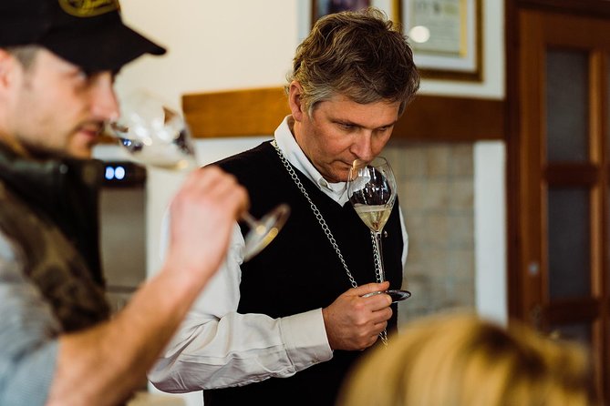 Prosecco Wine Tour (all-inclusive full day with lunch and expert wine guide) - A Scenic Journey into Italy’s Prosecco Region