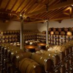 Prosecco Winery Tasting with Food Pairing near Venice - Who Will Love This Tour?