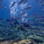 Protaras: 3-4 Day PADI Open Water Diver in Protaras - What to Keep in Mind