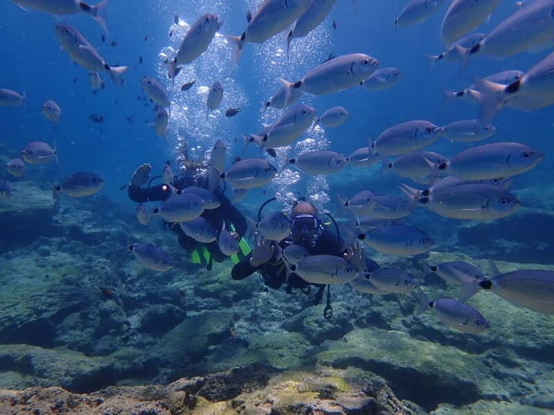 Protaras: 3-4 Day PADI Open Water Diver in Protaras - What to Keep in Mind