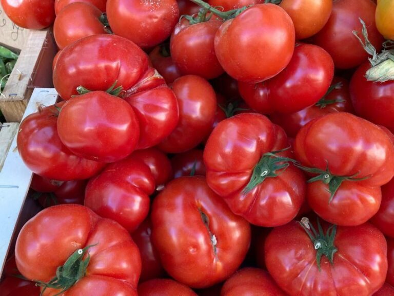 Provencal Market Walking Tour with Tastings - Who This Tour Is Perfect For