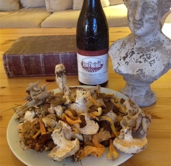 Provence: Mushroom Hunting with Outdoor Breakfast - The Value of the Experience