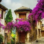 Provence private tour: Aix-en-Provence, (Marseille) & Cassis - Detailed Breakdown of the Itinerary