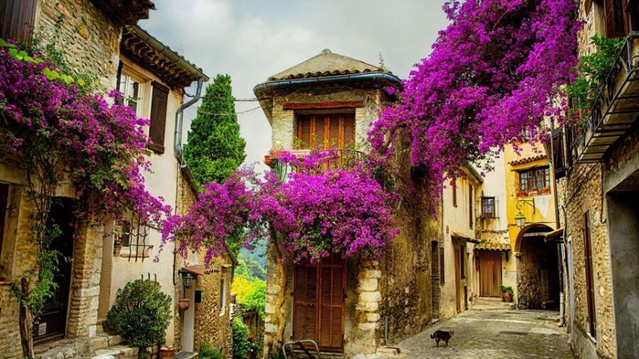 Provence private tour: Aix-en-Provence, (Marseille) & Cassis - Detailed Breakdown of the Itinerary