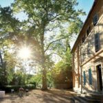 provence wine tasting - Why This Tour Stands Out