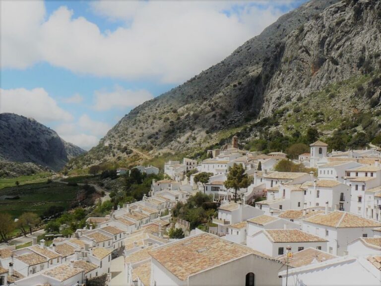 Pueblos Blancos & Ronda: Private Full-Day Tour from Seville - Authentic Experiences & Real Traveler Insights