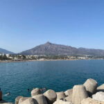 Puerto Banús: Private harbor tour with tapas & cocktail - Itinerary: What can you expect?