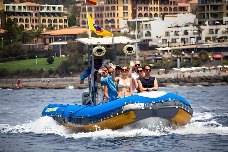Puerto Colon: Dolphin and Whale Watching Speedboat Tour - An In-Depth Look at the Tour