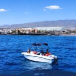 Puerto Colon: La Nina Boat self drive, No licence Tenerife - The Value: Is It Worth the Price?