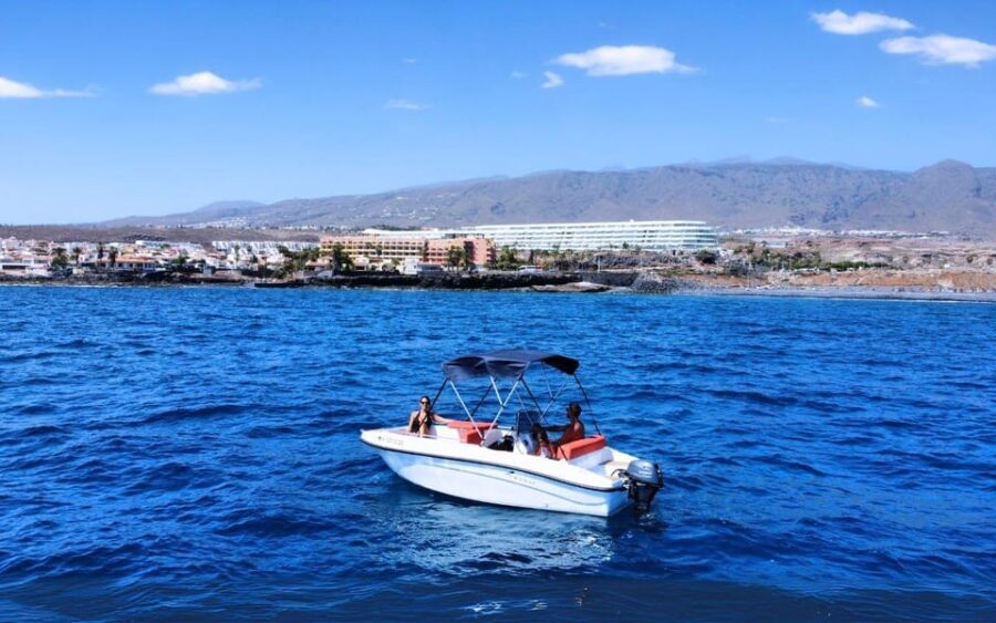 Puerto Colon: La Nina Boat self drive, No licence Tenerife - The Value: Is It Worth the Price?