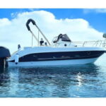 Puerto Colon: License-Free Self-Drive Boat in Tenerife - What to Expect: A Day on the Water in Tenerife